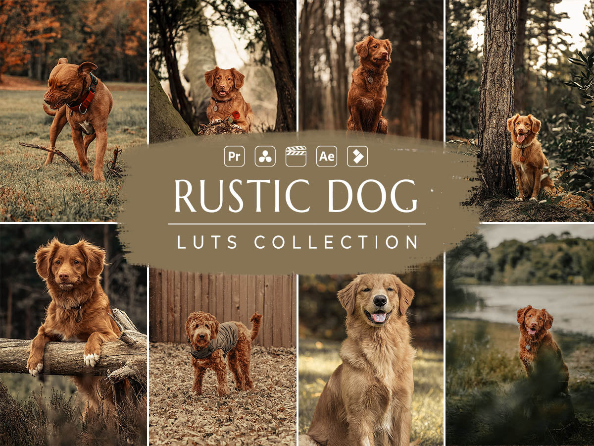 Rustic Dog Video LUTs | Dog LUTs | Dog Lover LUTs | Pet LUTs ...
