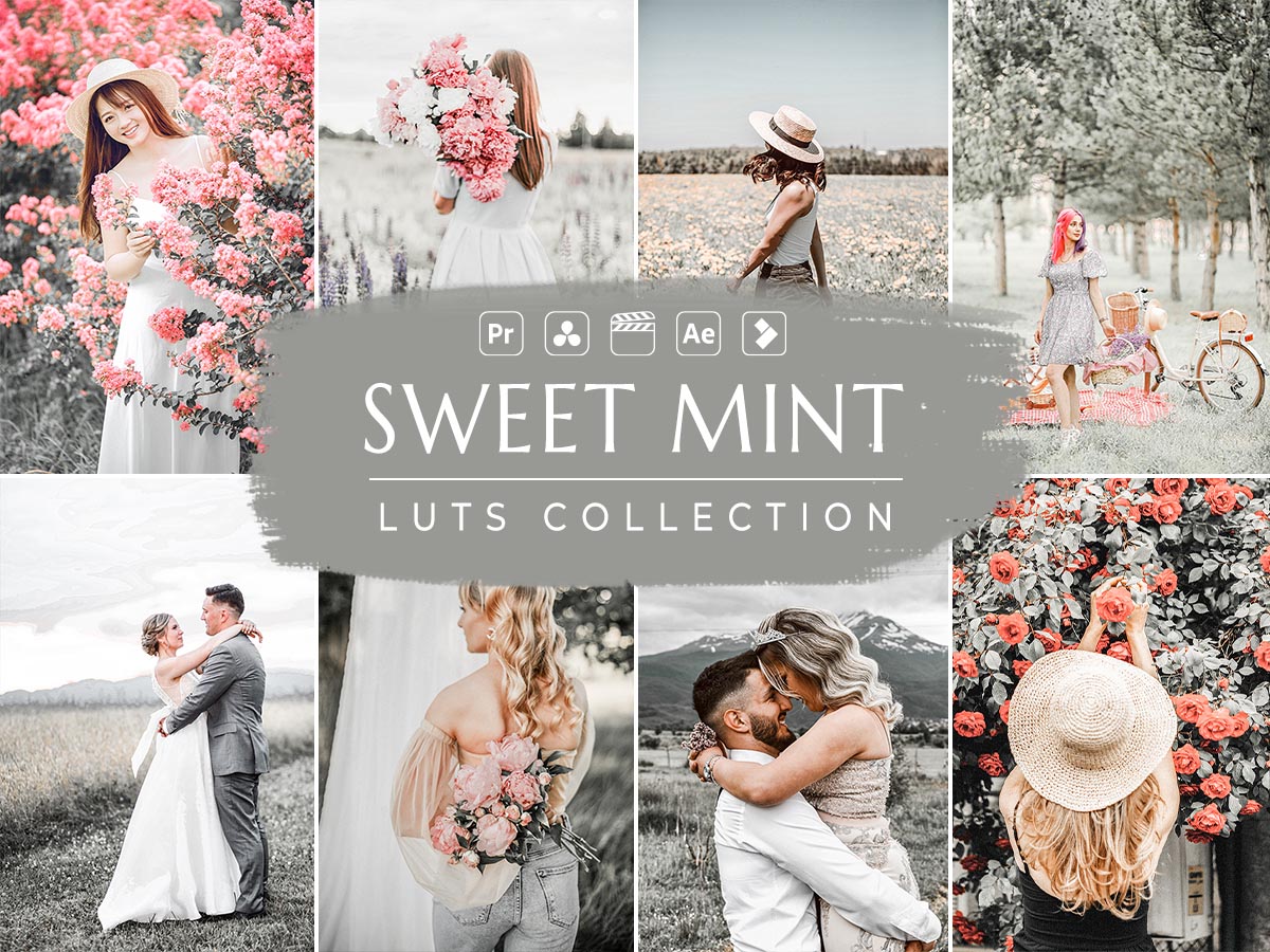 Sweet Mint Video LUTs | Sweet Mint LUTs | Instagram LUTs | Sweet Mint ...