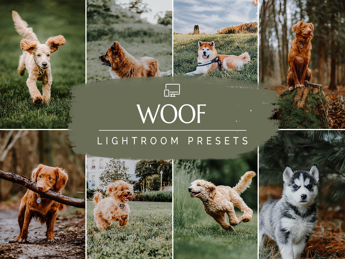 Woof Lightroom Presets | Mobile and Desktop Presets | Pet Presets | Pet ...