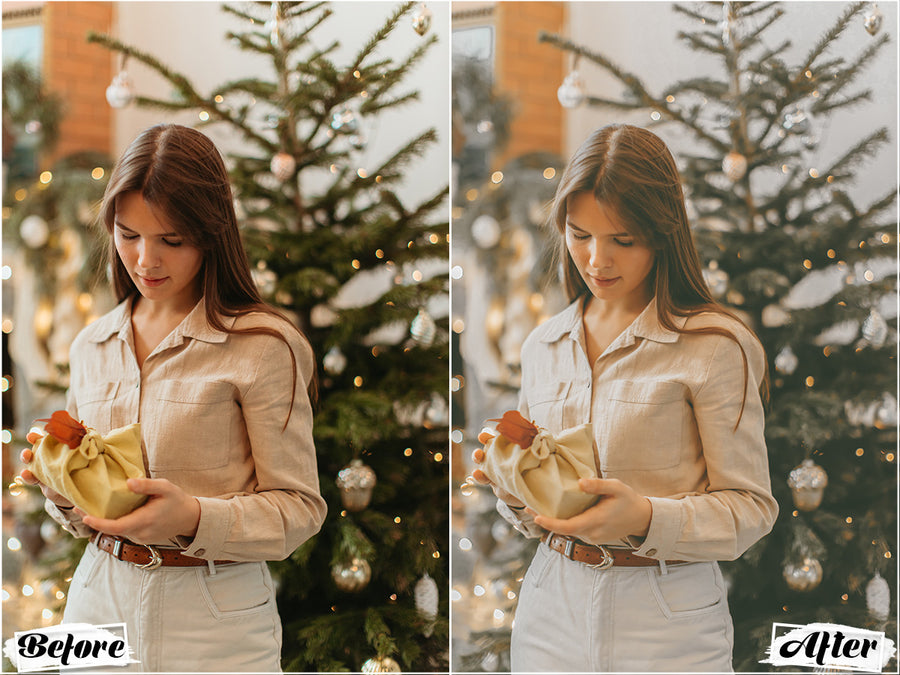 December Magical LUTs | Magical LUTs | December Presets | Christmas ...
