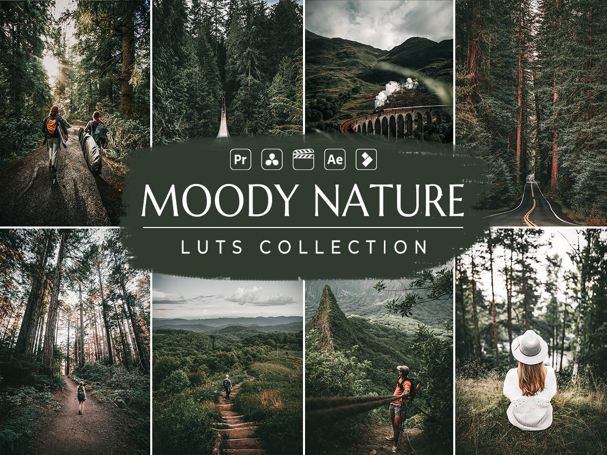 Moody Nature Video LUTs – Pixmellow
